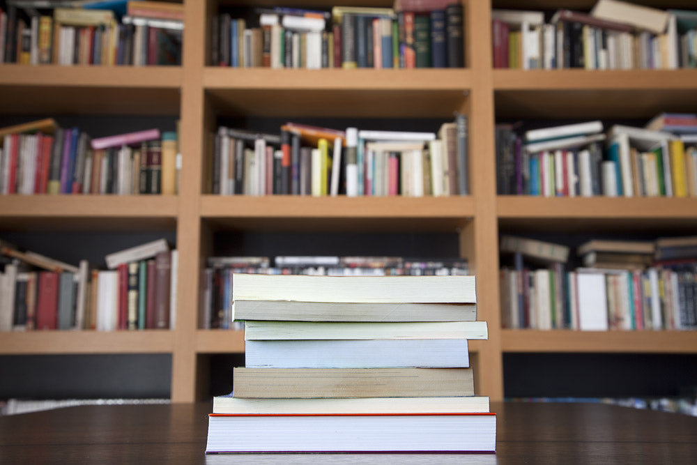 Literature Guides, Novel Units, Book Study Units for Grades 2-12 ...