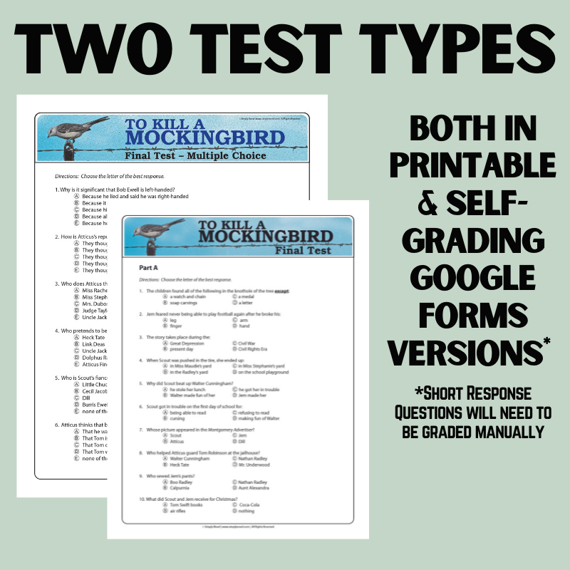 To Kill a Mockingbird Final Unit Tests - 2 Tests in Print & Digital ...